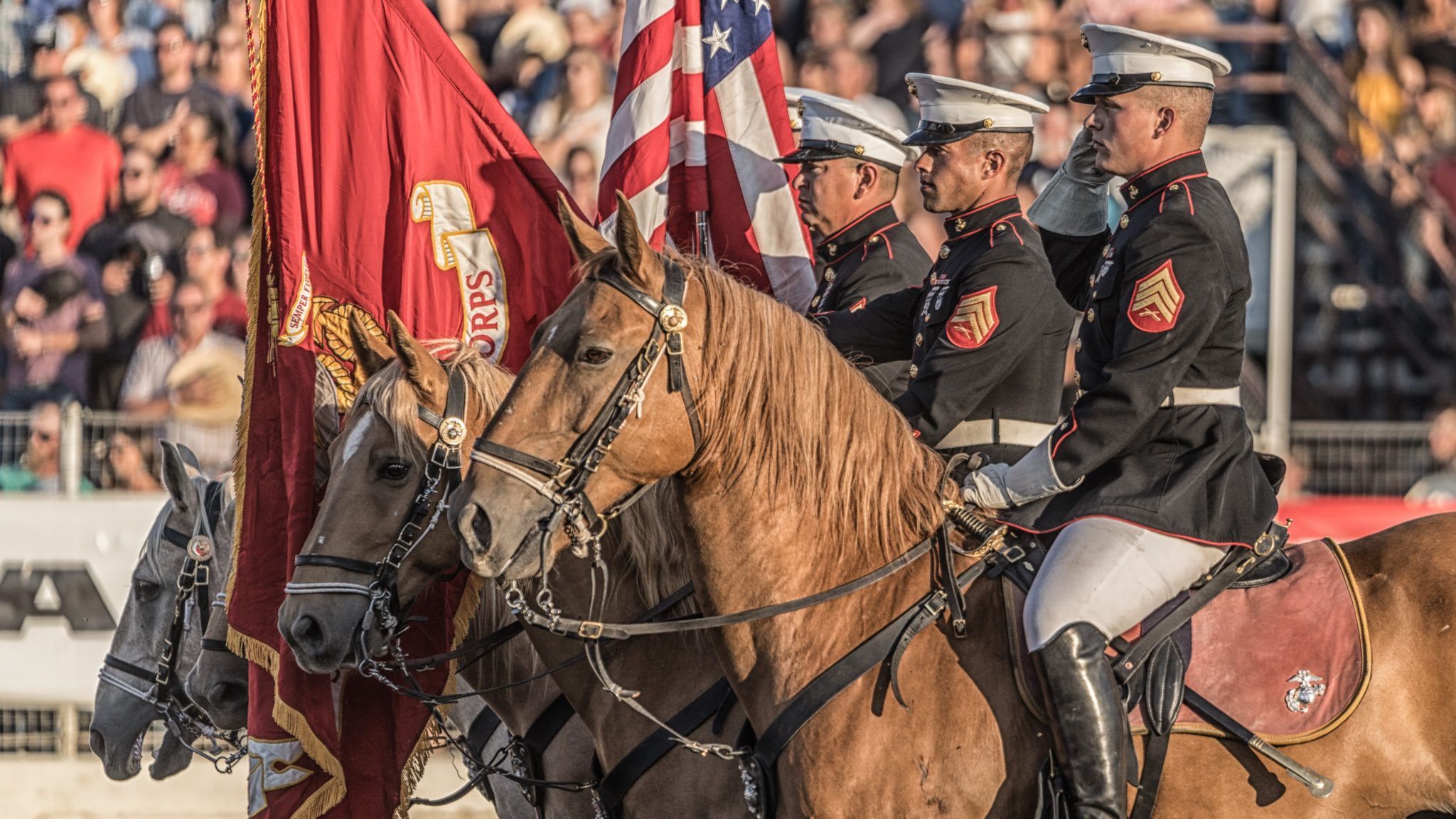 Community Impact | Caldwell Night Rodeo