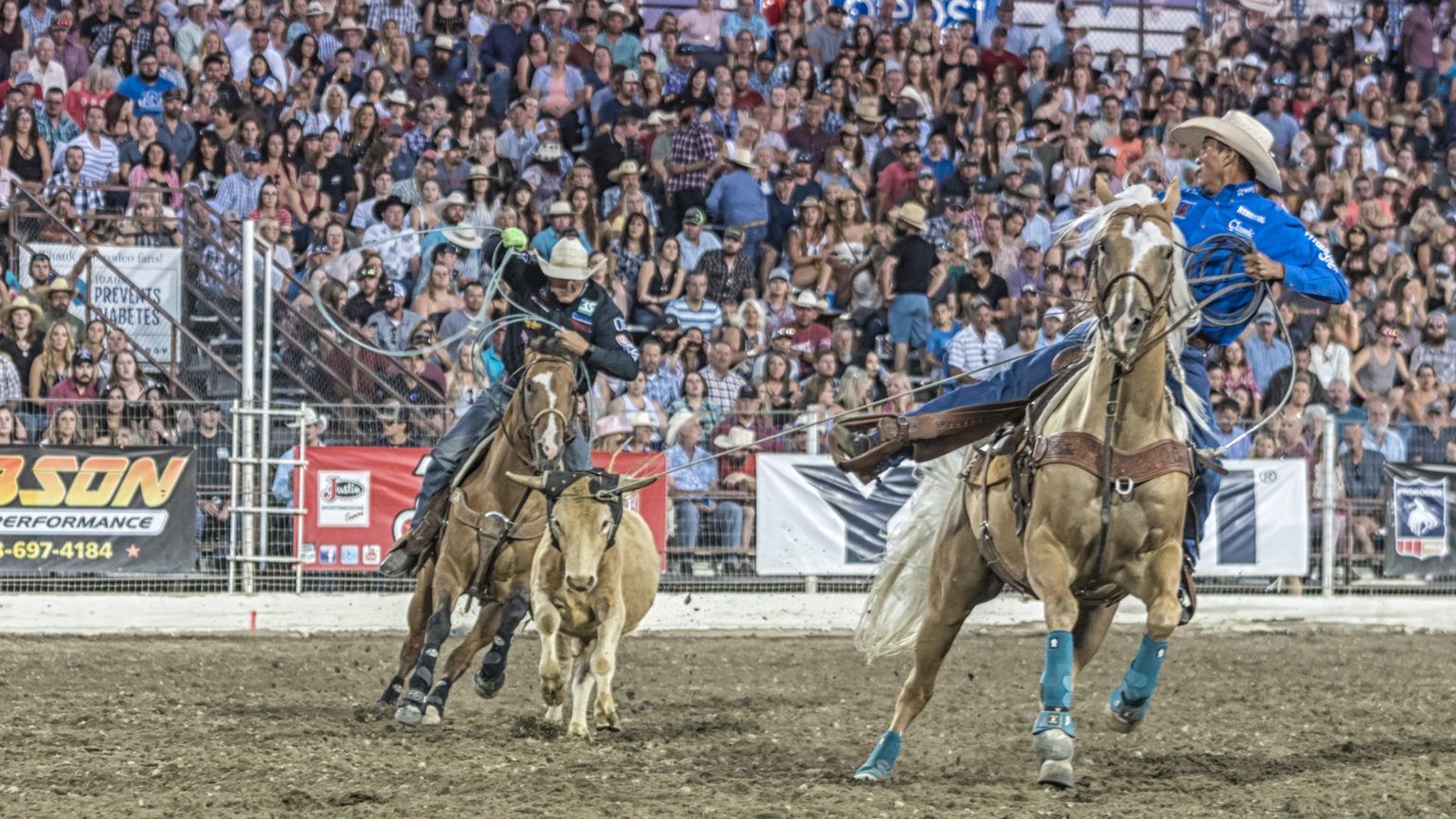 Event Descriptions | Caldwell Night Rodeo