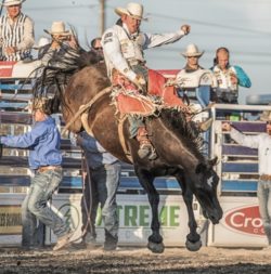 Event Calendar | Caldwell Night Rodeo